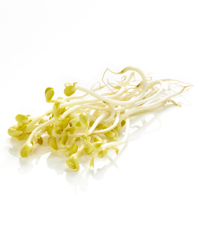 Tauge / Yellow Mung Bean Sprouts - Herman Kuijper